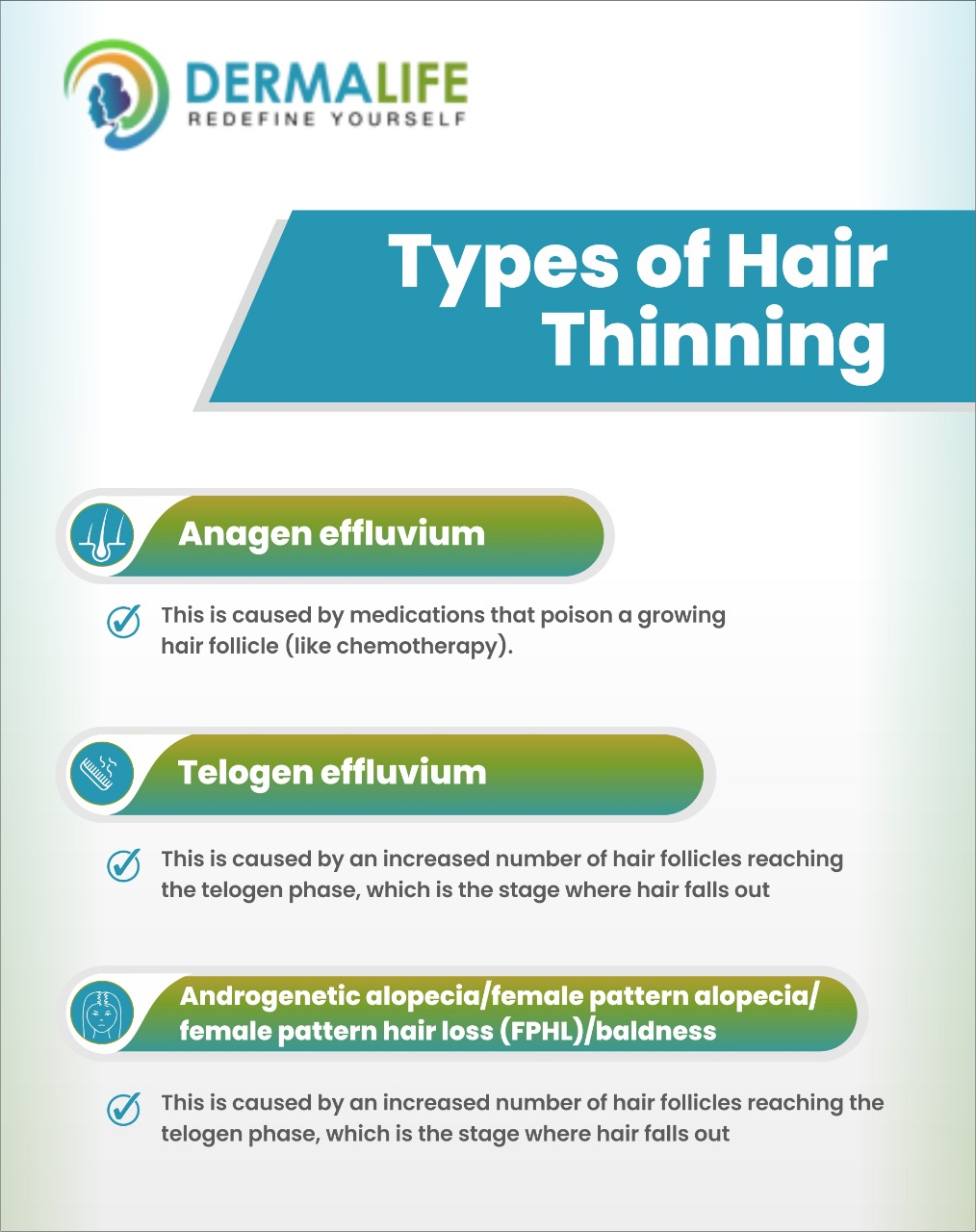Hair Thinning: The Causes and The Cures | Dermalife Blog